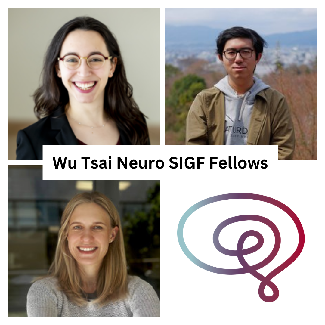 Meet the 2023 Wu Tsai Neuro interdisciplinary graduate fellows | Wu Tsai Neurosciences Institute